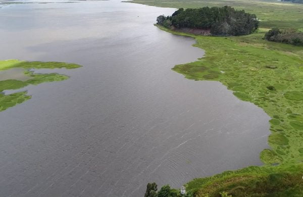 Laguna De Fúquene, Cundinamarca Colombia; Fotografía Tomada De Internet.